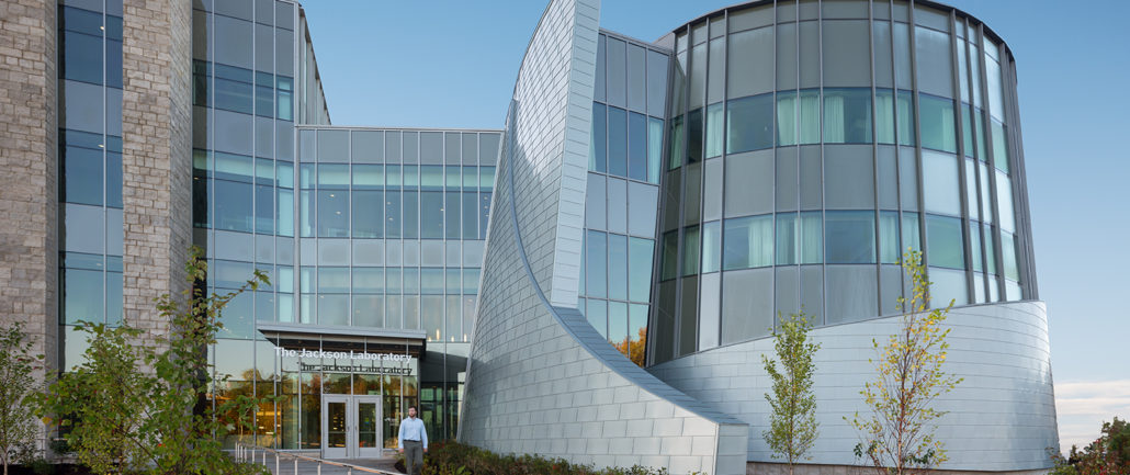 Home | MetalTech Global - MetalTech Global